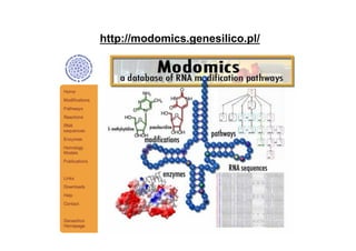 Puton bosc2010 bio_python-modules-rna | PDF | Genetics | Science
