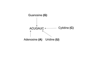 Puton bosc2010 bio_python-modules-rna | PDF | Genetics | Science