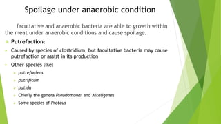 Putrefaction of food | PPTX