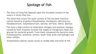 Putrefaction of food | PPTX