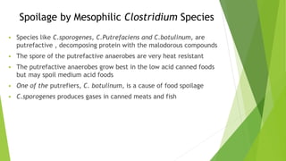 Putrefaction of food | PPTX
