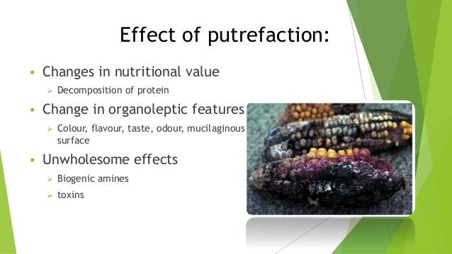 Putrefaction of food