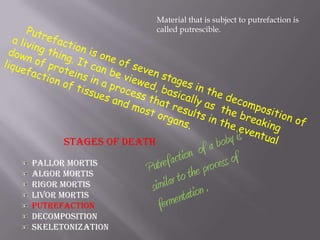 Putrefaction pp | PPTX