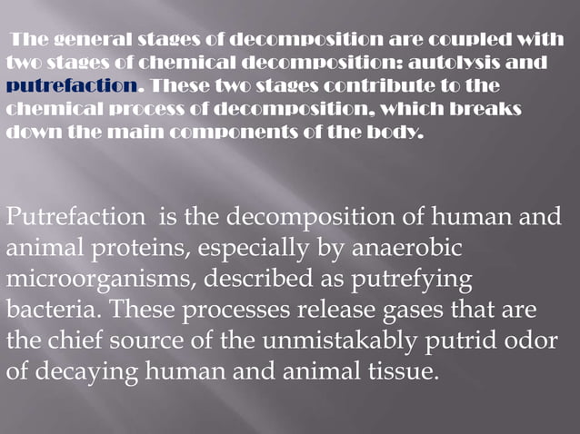 Putrefaction pp | PPTX