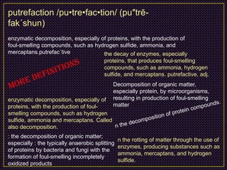Putrefaction pp | PPTX