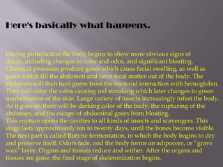 Putrefaction Bloating