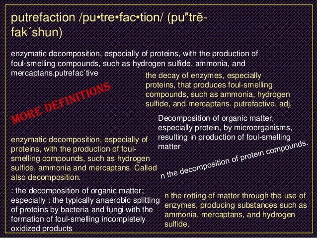 Putrefaction pp
