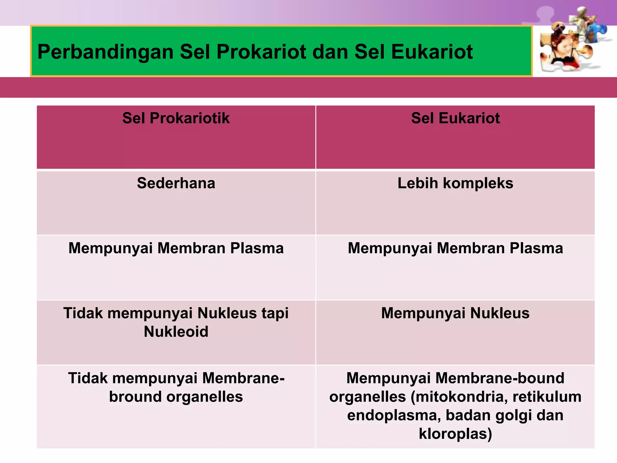 Sel Tumbuhan | PPTX