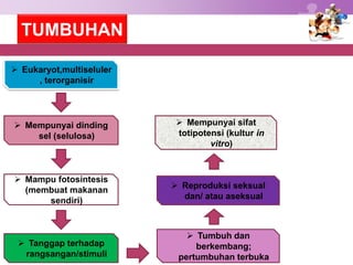 Sel Tumbuhan | PPTX
