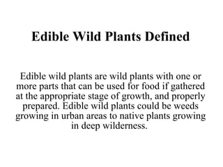 Forest Food | PPT