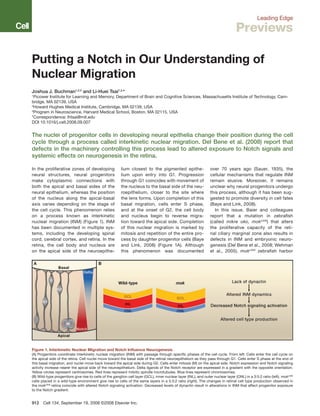Putting-a-Notch-in-Our-Understanding-of-Nuclear-Mi.pdf