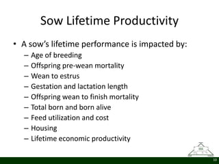 Dr. Laura Greiner - Putting it all together - Improving Sow Lifetime ...