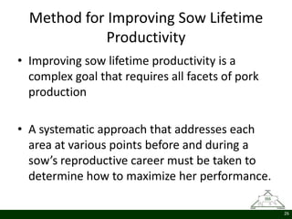 Dr. Laura Greiner - Putting it all together - Improving Sow Lifetime ...
