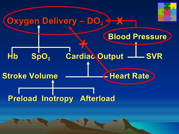 Hemodynamics - Putting the puzzle together
