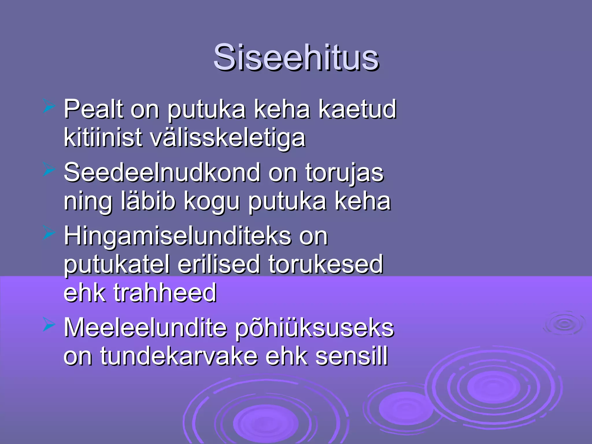 Putukad ppt(anna abi.ee) | PPT