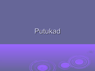 Putukad ppt(anna abi.ee) | PPT