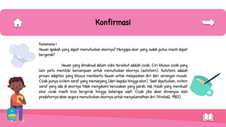 Putusnya Ekor Cicak (Autotomi) | PPTX