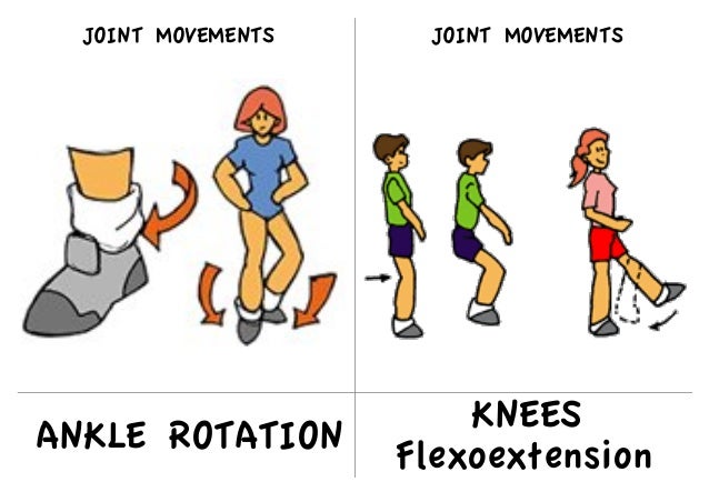 Anatomical Terms Of Movement Flexion Rotation Teachmeanatomy