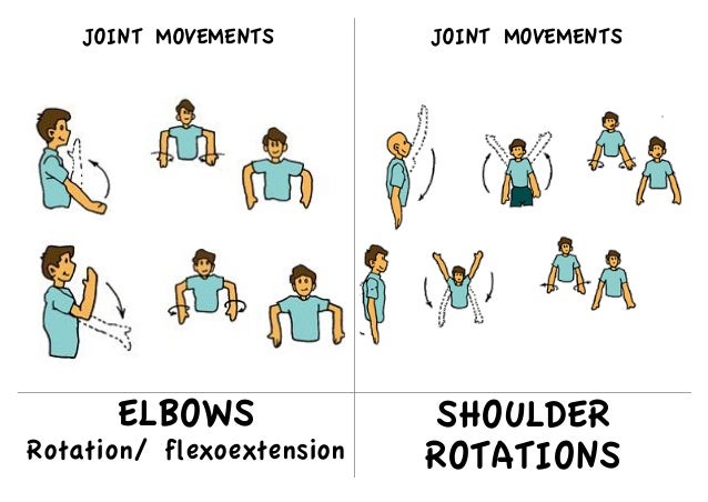 This Image Shows Some Examples Of The Movements Of Joints And Their