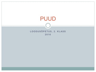 Puud | PPTX