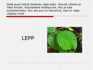 Puud | PPT