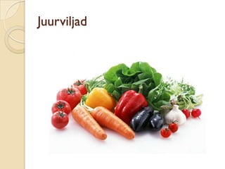Puuvijad ja juurviljad | PPTX
