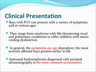 Puv | PPT