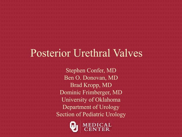 puv.ppt | Medical Health