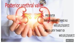 puv last draft: Posterior Urethral Valve (PUV) – Overview 1. | PPT