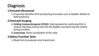 puv last draft: Posterior Urethral Valve (PUV) – Overview 1. | PPTX