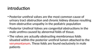 puv last draft: Posterior Urethral Valve (PUV) – Overview 1. | PPTX