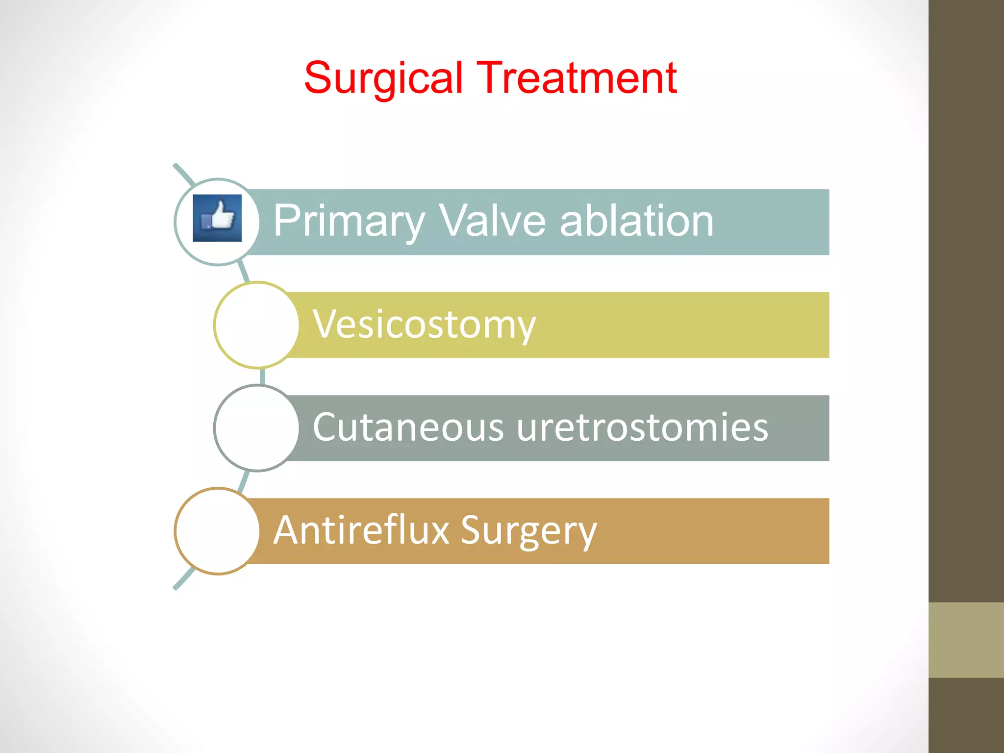 PUV presentation.pptx