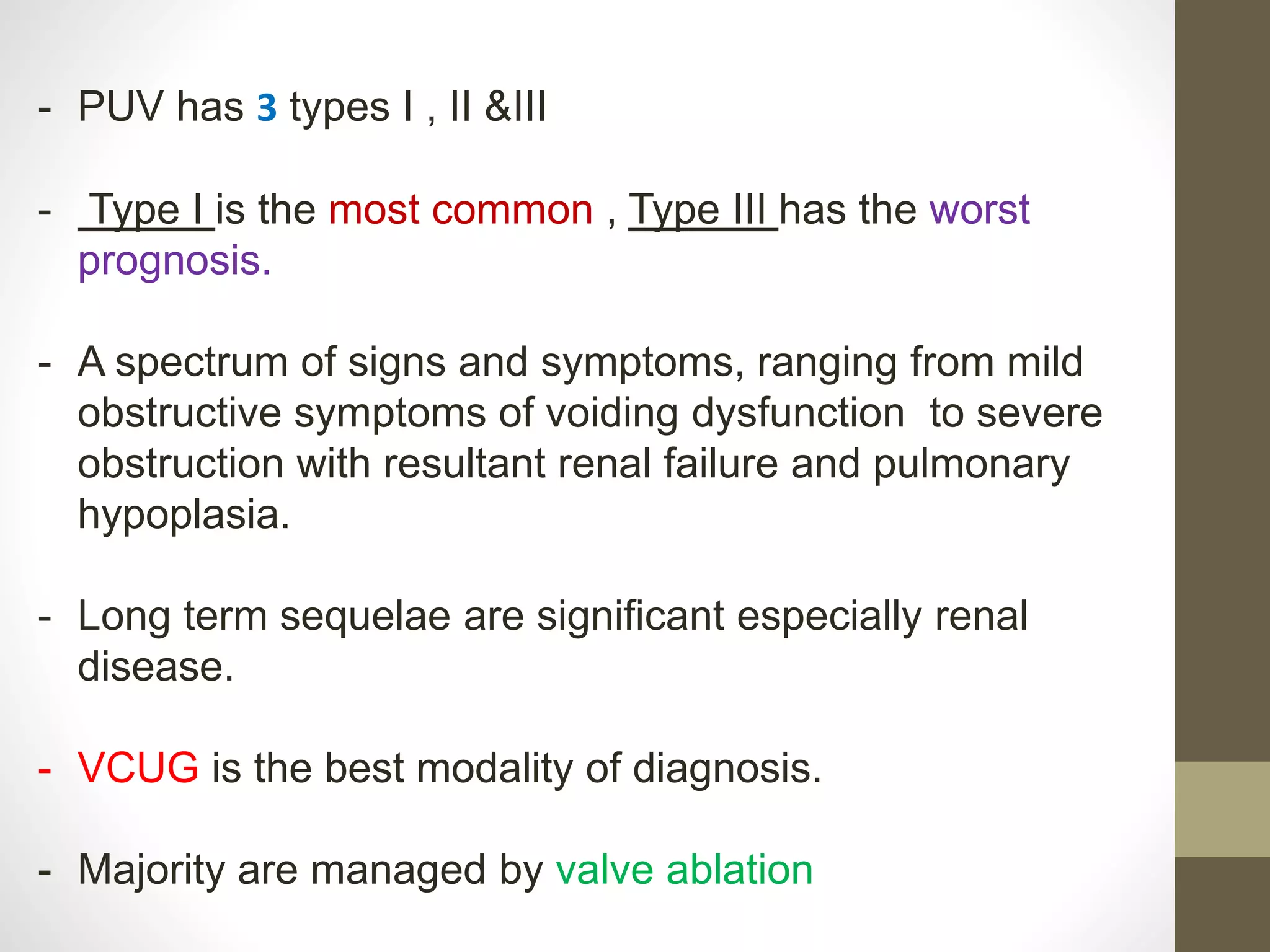 PUV presentation.pptx