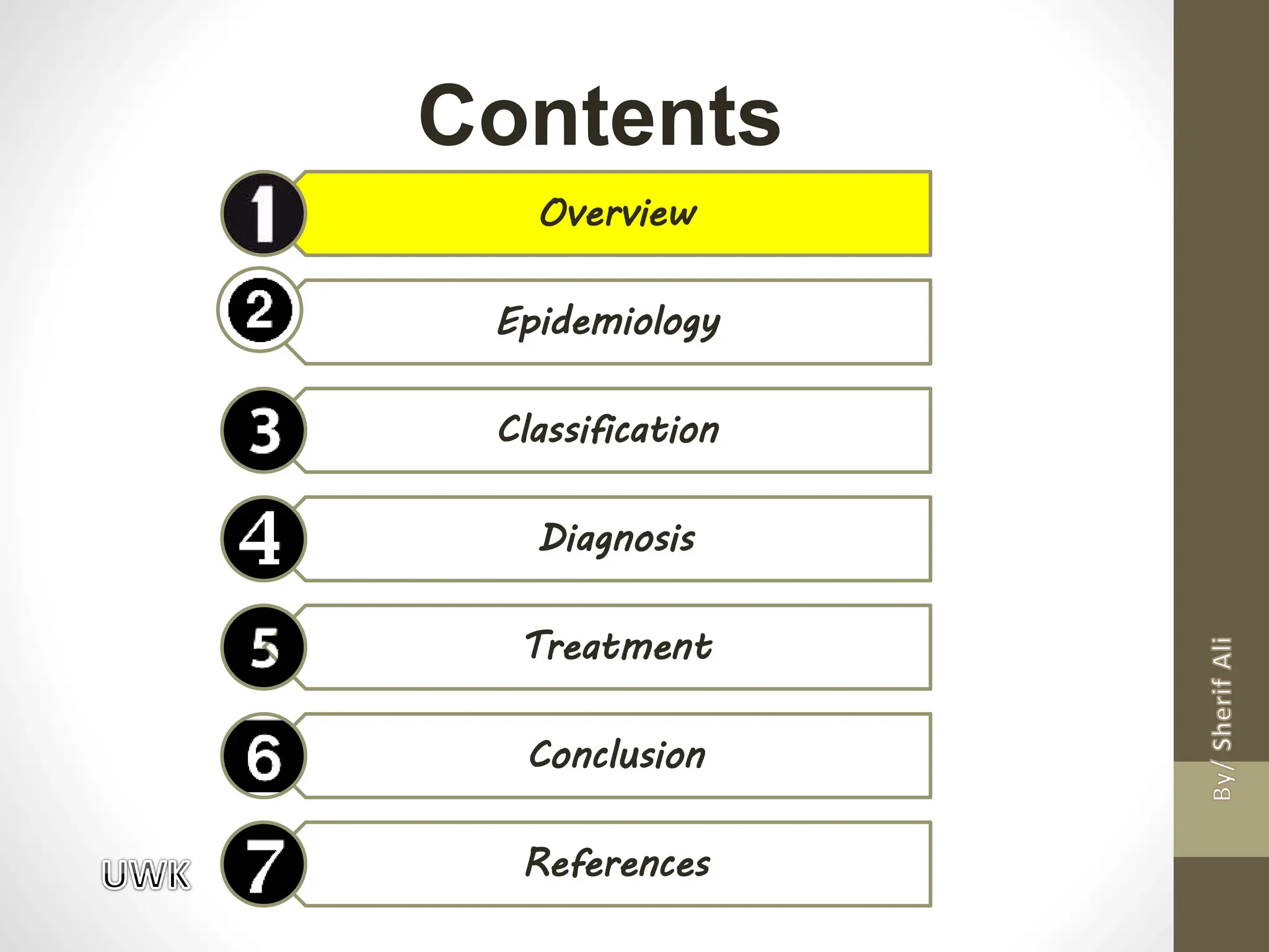 PUV presentation urology in sohag university.pptx
