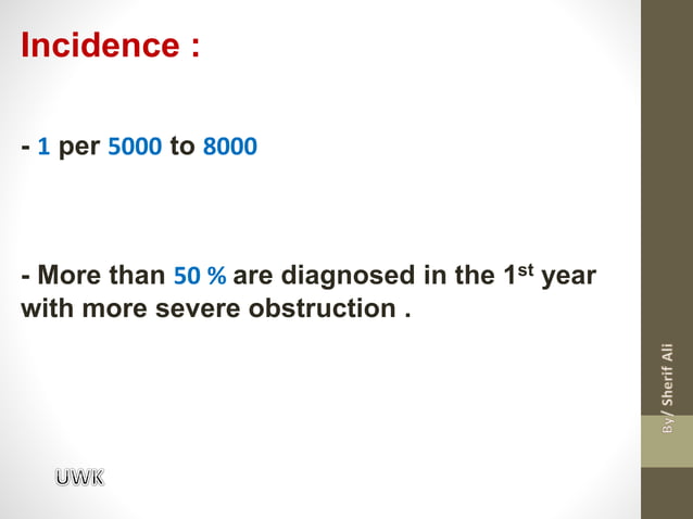 PUV presentation urology in sohag university.pptx