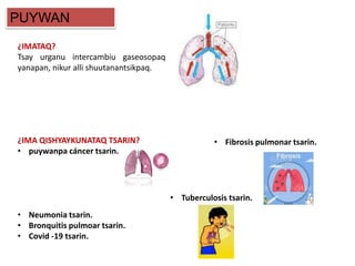 PUWAN - QUECHUA (PULMON).pptx