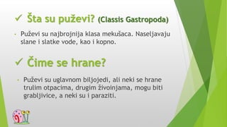 Puzevi prezentacija | PPT
