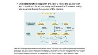 Comprehensive Overview of Polycythemia Vera and Essential ...