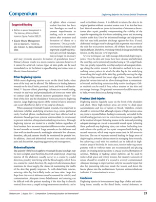 Pv0811 elce degloving injuries in horse -initial treatment | PDF