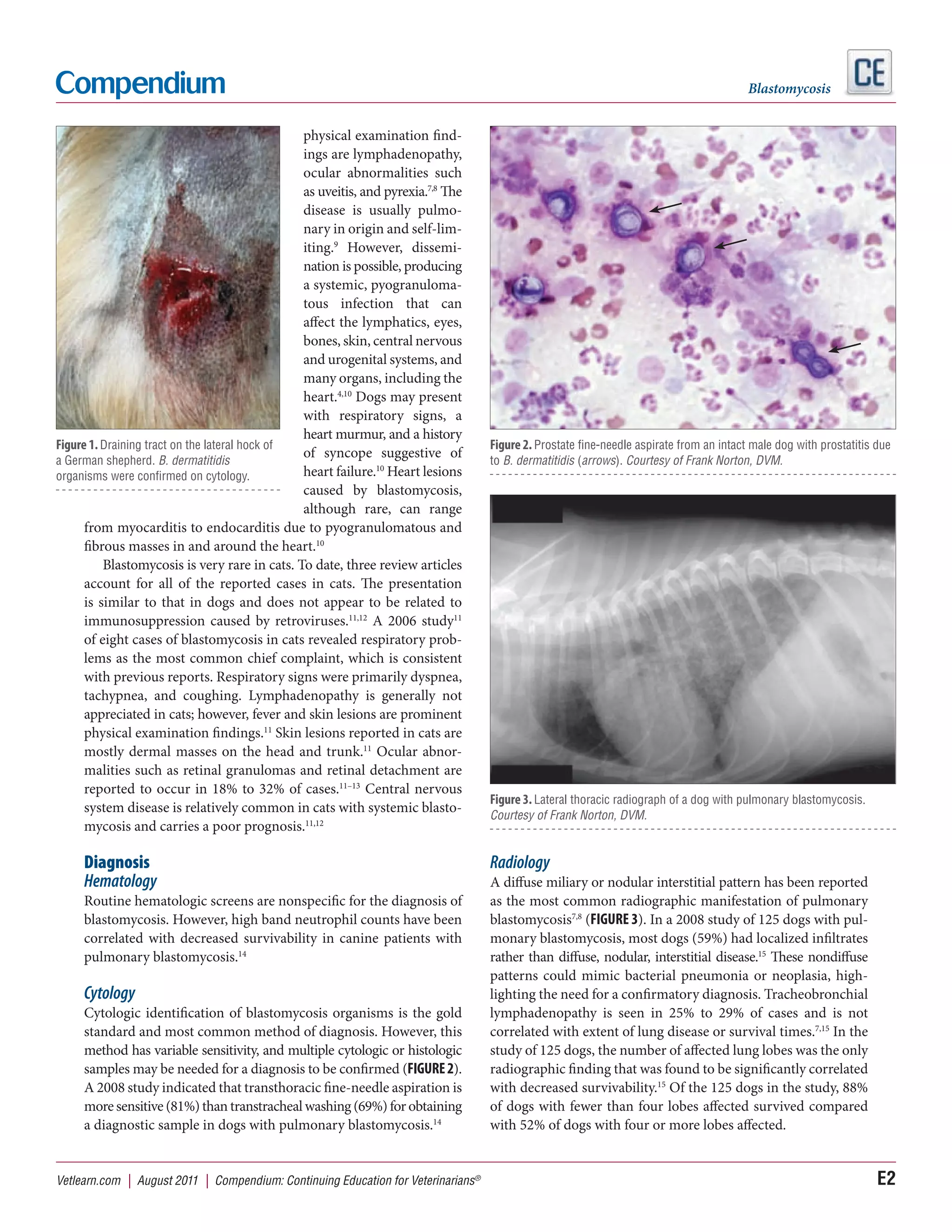 Pv0811 werner ce_blastomycosis-10-8-2011 | PDF