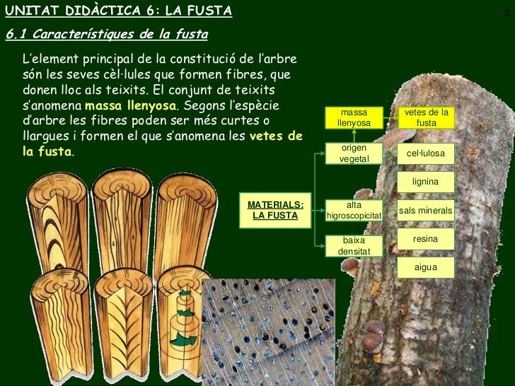 Pv1tecno u06 materials - la fusta (2010-11)web
