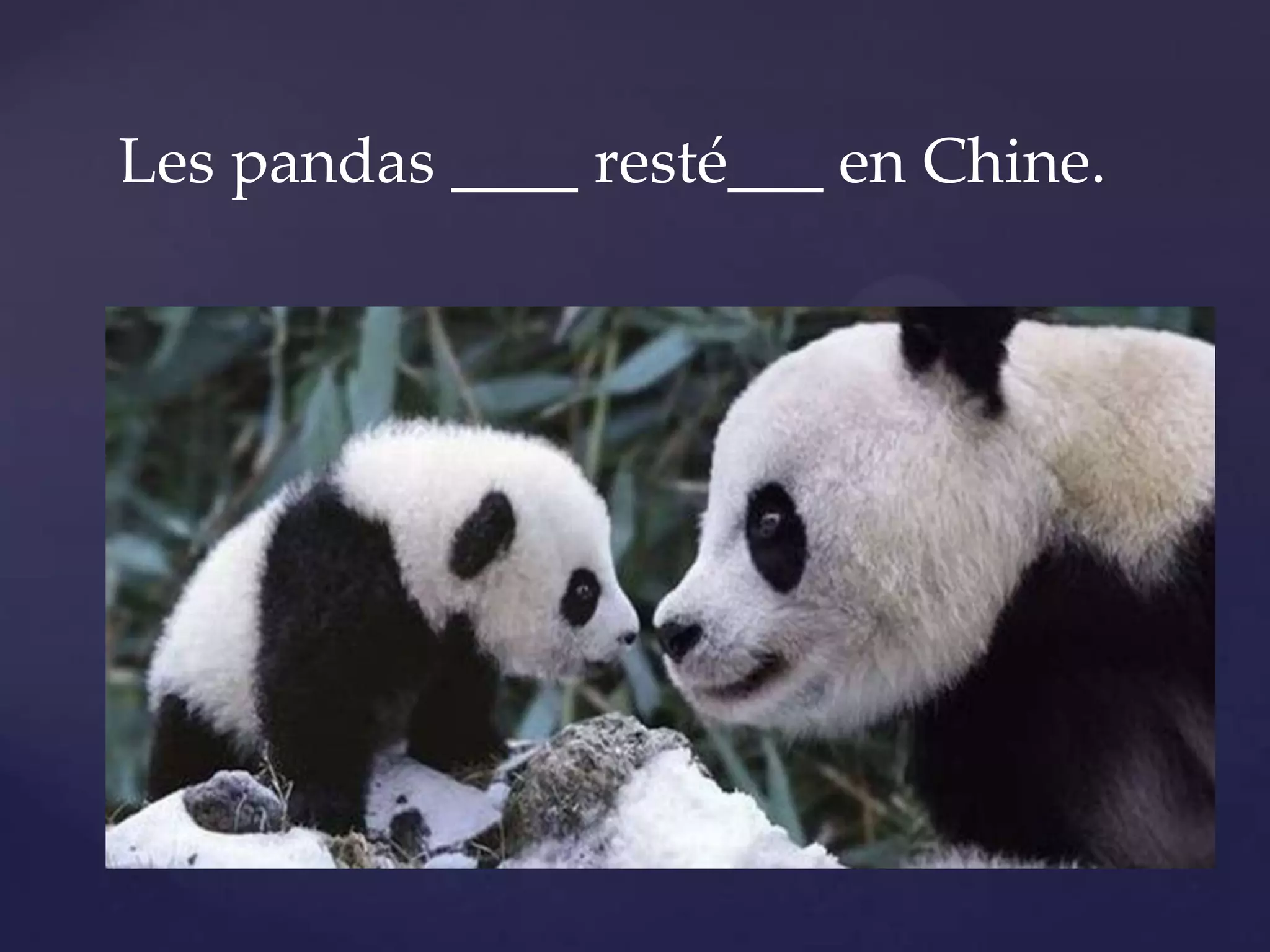 Passe Compose with Etre (Dr. and Mrs. P Vandertramp) | PPT