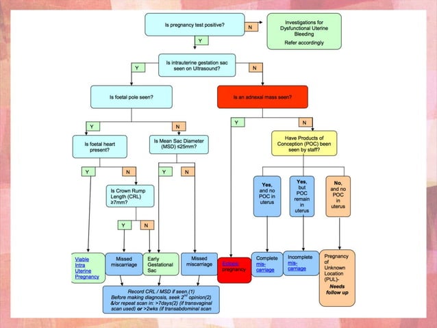 PV Bleeding | PPTX | Pregnancy | Reproductive Health