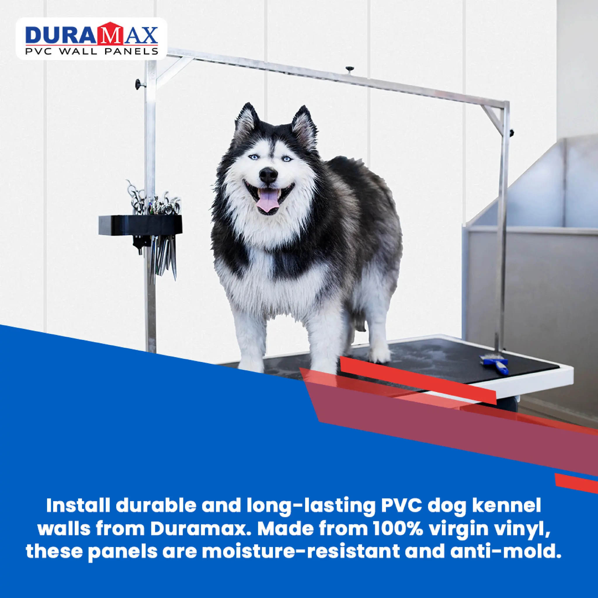 PVC-Dog-Kennel-Walls-Built-for-Durability-and-Hygiene.pdf