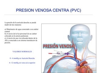Pvc | PPT