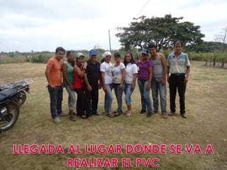 Pvc de segundo_a_o_educaci_n_primaria | PPTX