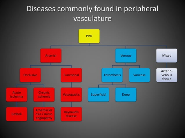 peripheral vascular disease | PPTX | Foot Health | Diseases and Conditions