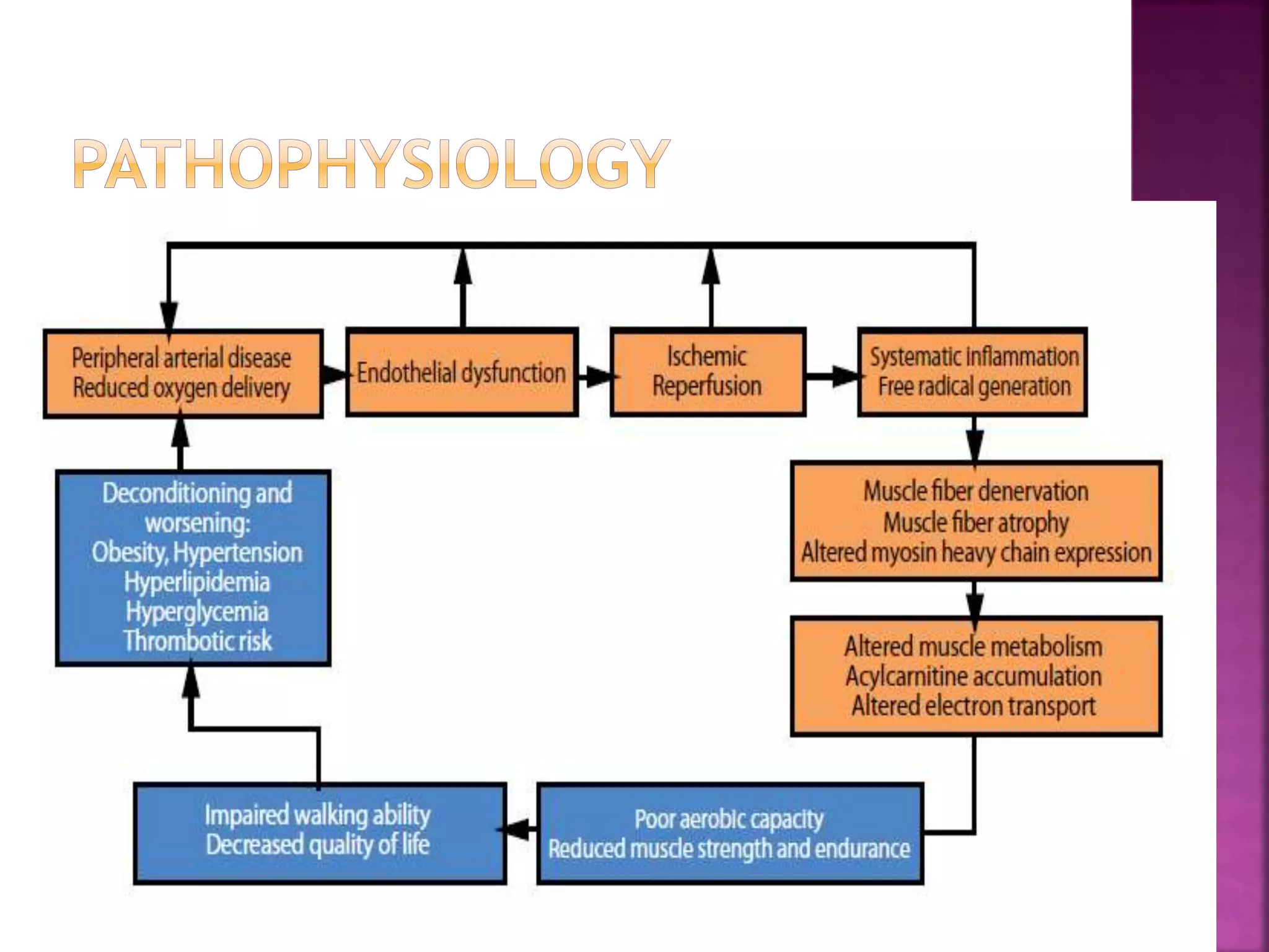pvd ppt for mpt.pptx