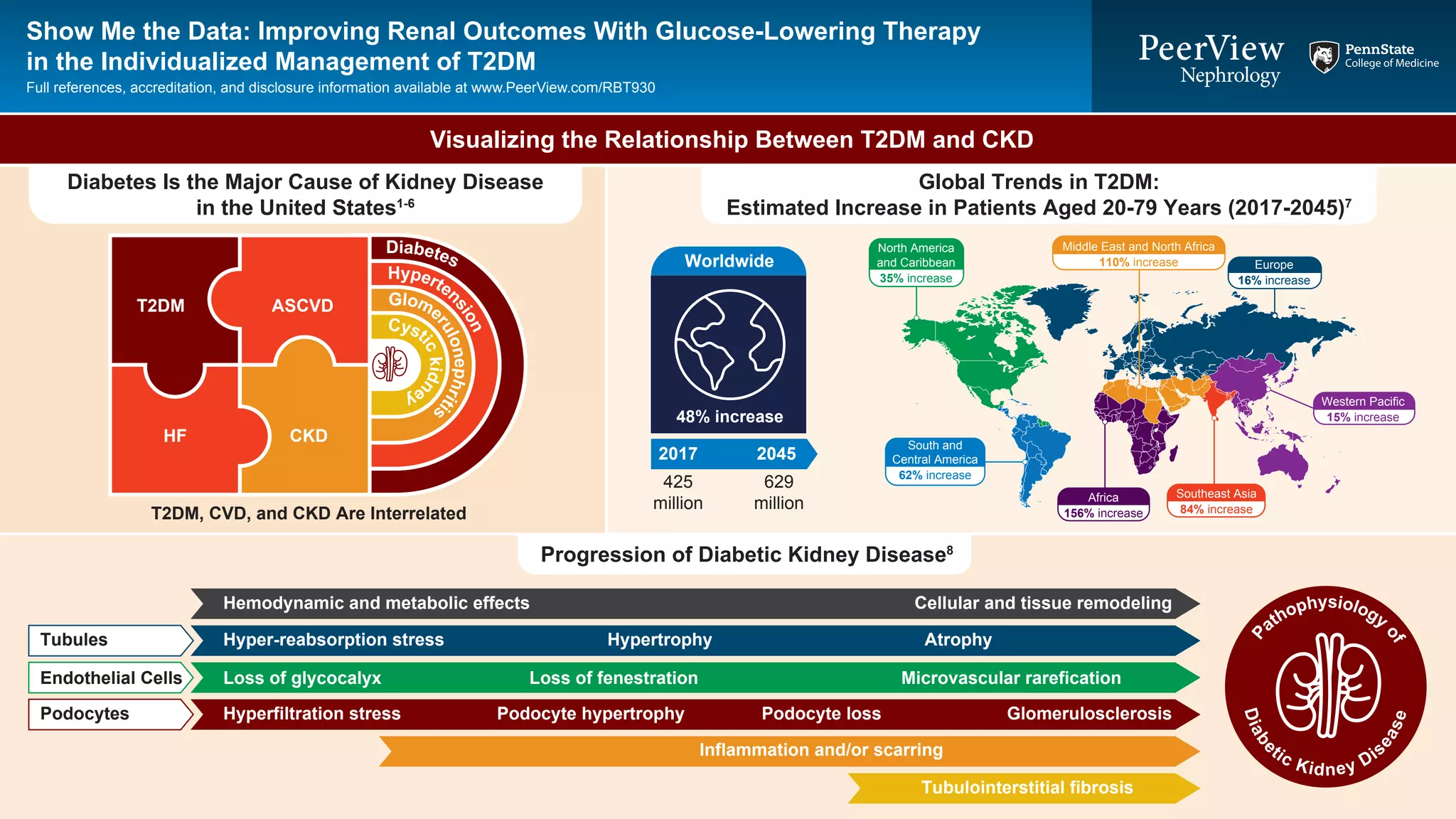 Show Me the Data: Improving Renal Outcomes With Glucose-Lowering Therapy in the Individualized ...