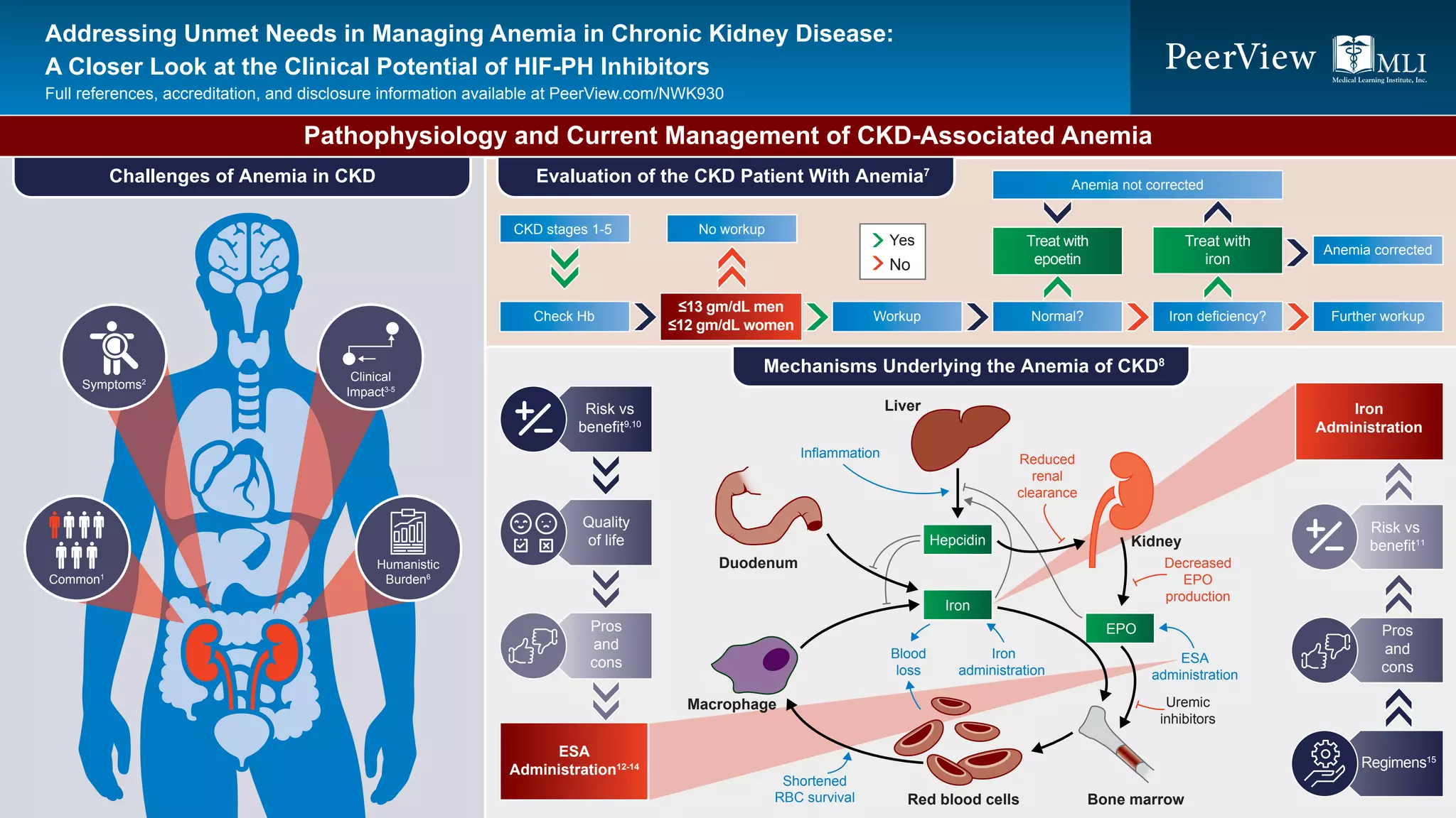 Addressing Unmet Needs in Managing Anemia in Chronic Kidney Disease: A ...